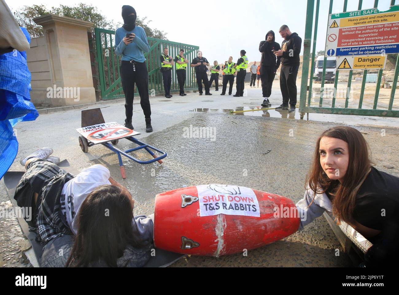Animal rights activists use a lock-on to block the gates of Goldholme ...