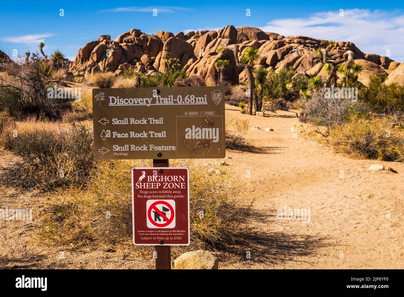 Discovery Trail interpretive sign, Joshua Tree National Park ...
