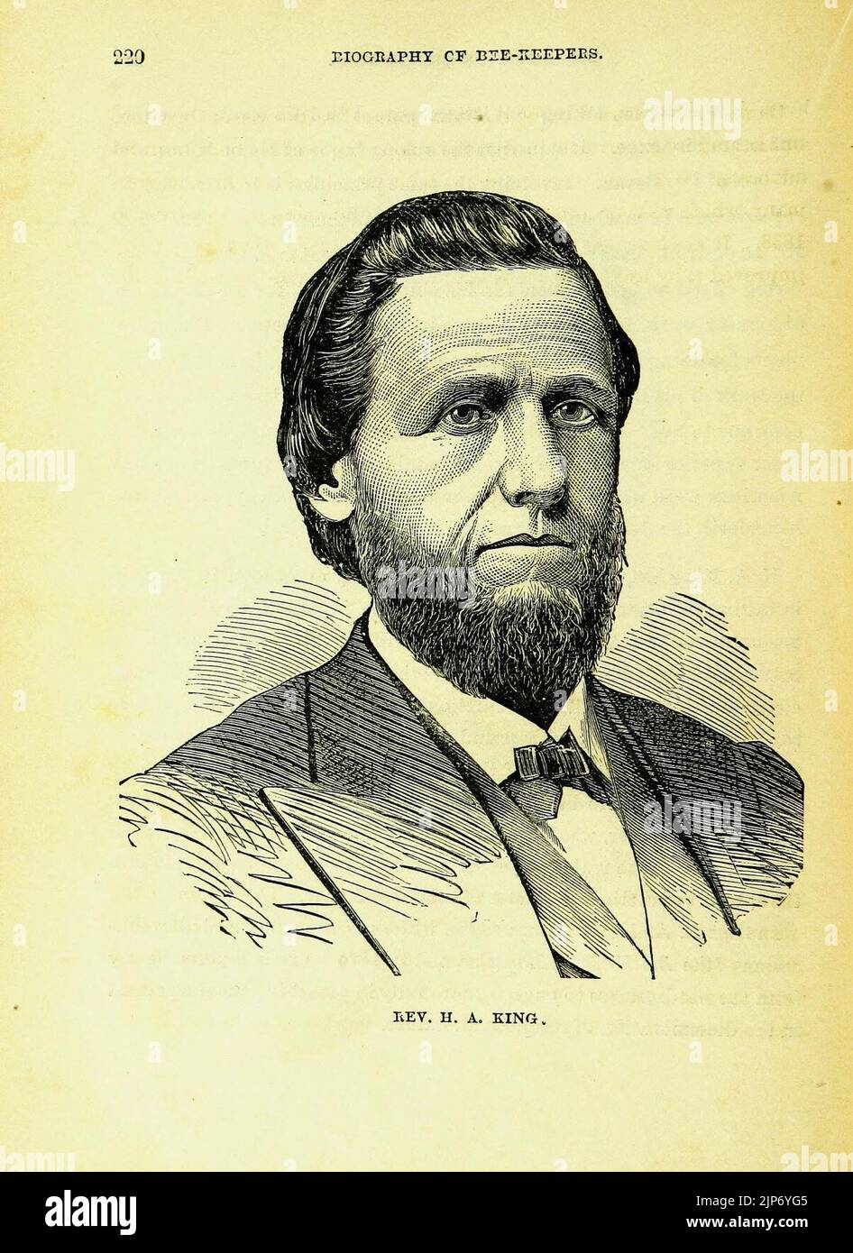 The new bee-keepers' text-book (Page 220 Stock Photo - Alamy