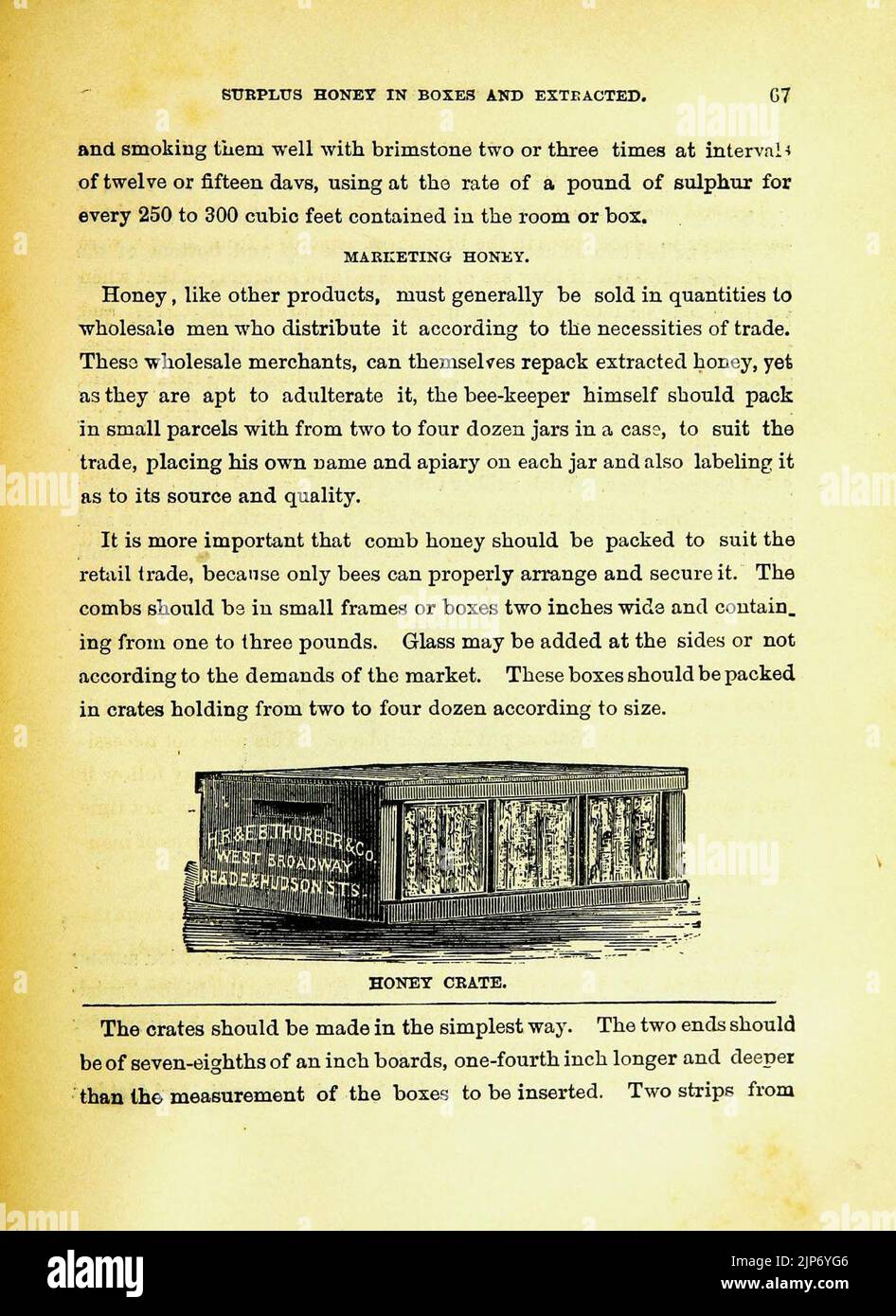 The new bee-keepers' text-book (Page 67 Stock Photo - Alamy