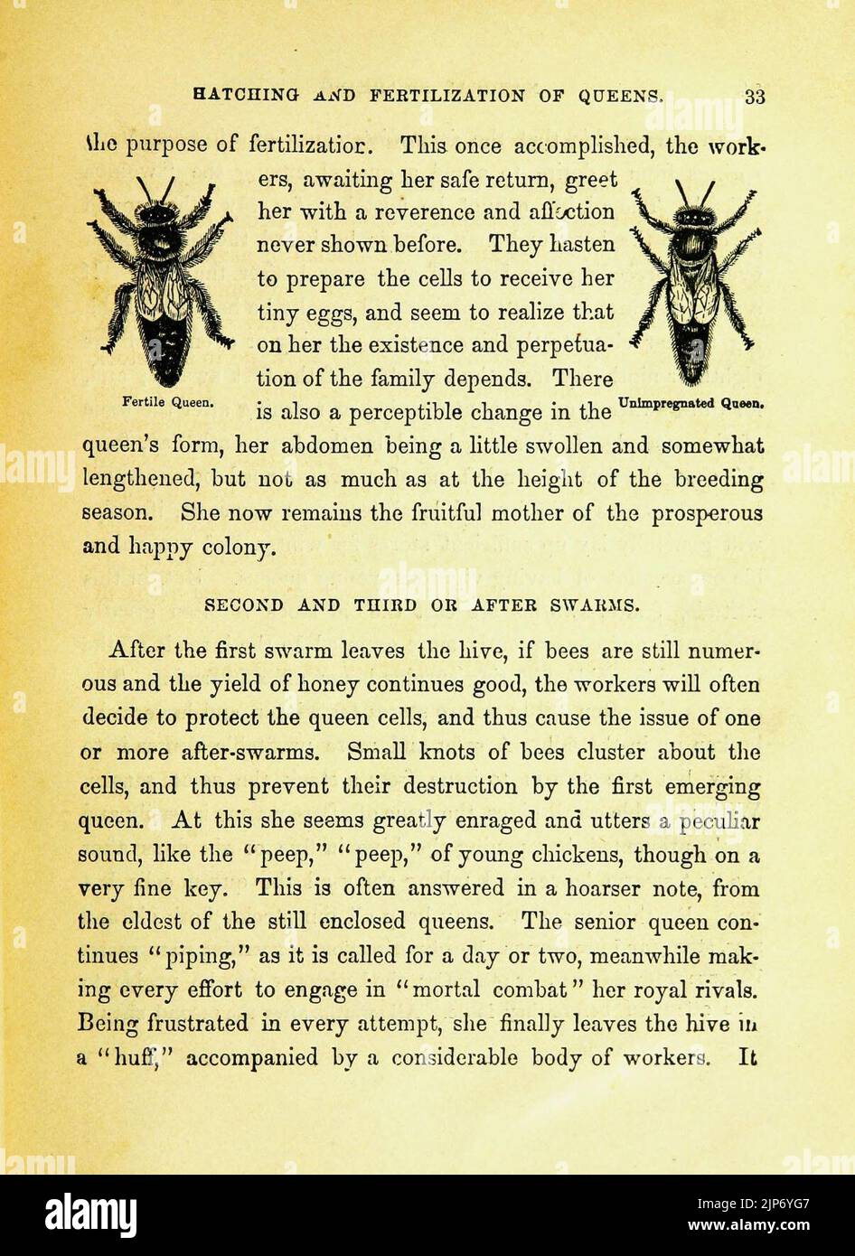 The new bee-keepers' text-book (Page 33 Stock Photo - Alamy