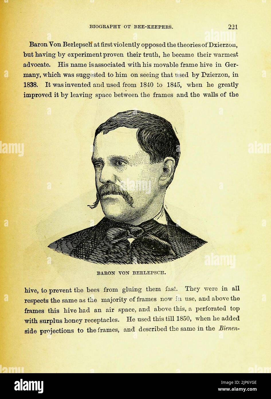 The new bee-keepers' text-book (Page 221 Stock Photo - Alamy