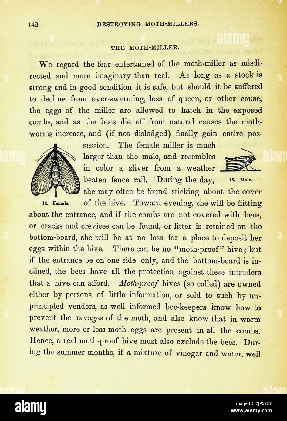 The new bee-keepers' text-book (Page 142 Stock Photo - Alamy