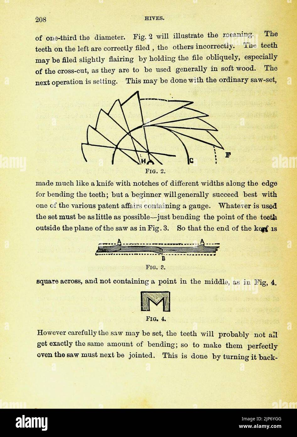 The new bee-keepers' text-book (Page 208 Stock Photo - Alamy