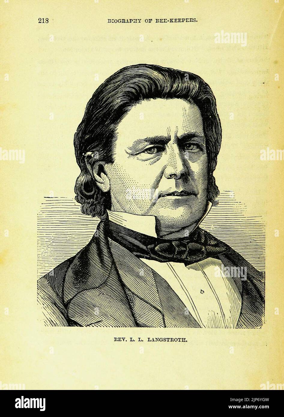 The new bee-keepers' text-book (Page 218 Stock Photo - Alamy