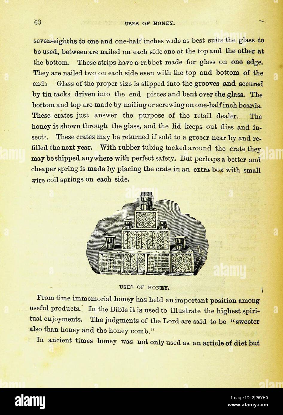 The new bee-keepers' text-book (Page 68 Stock Photo - Alamy