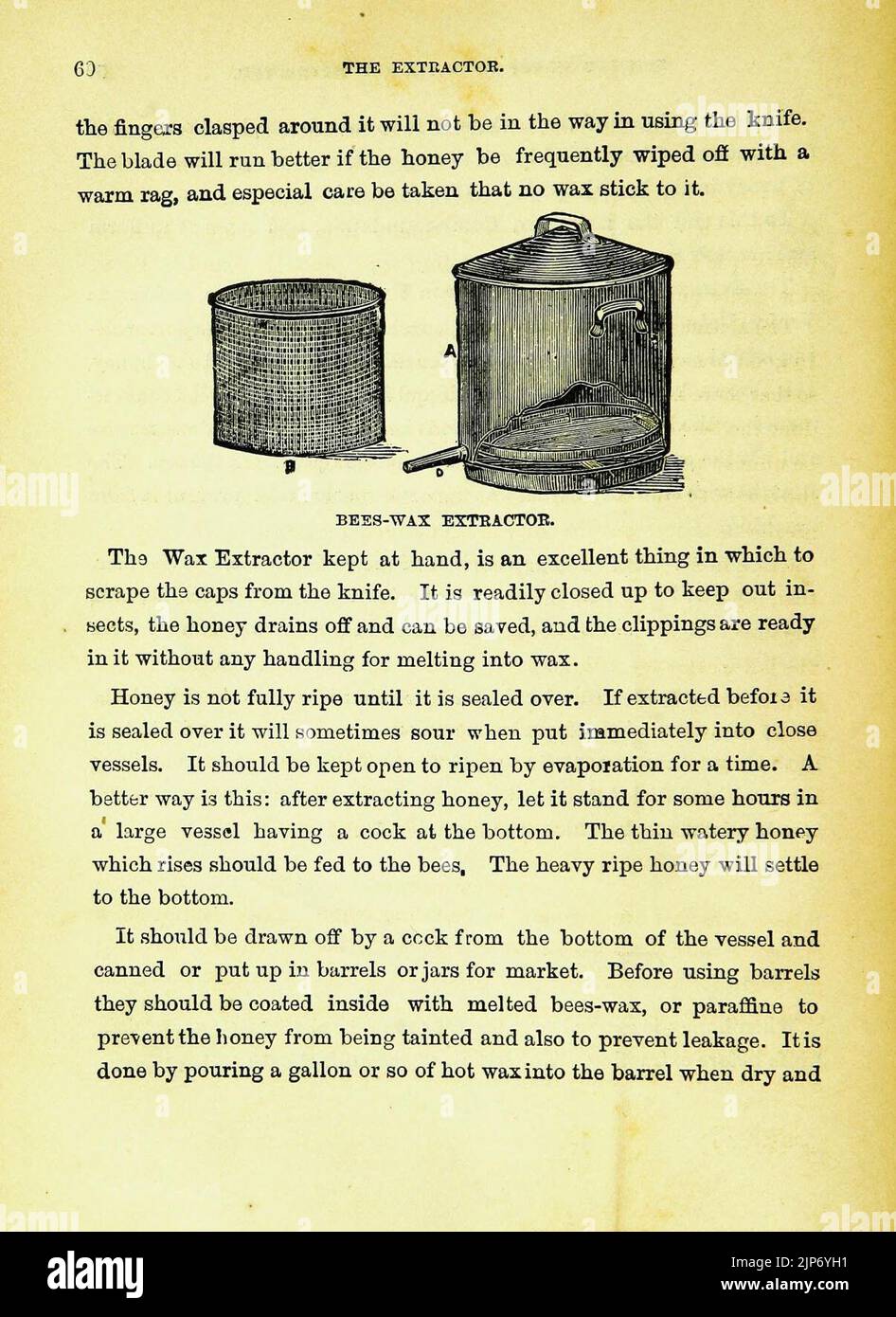 The new bee-keepers' text-book (Page 60 Stock Photo - Alamy