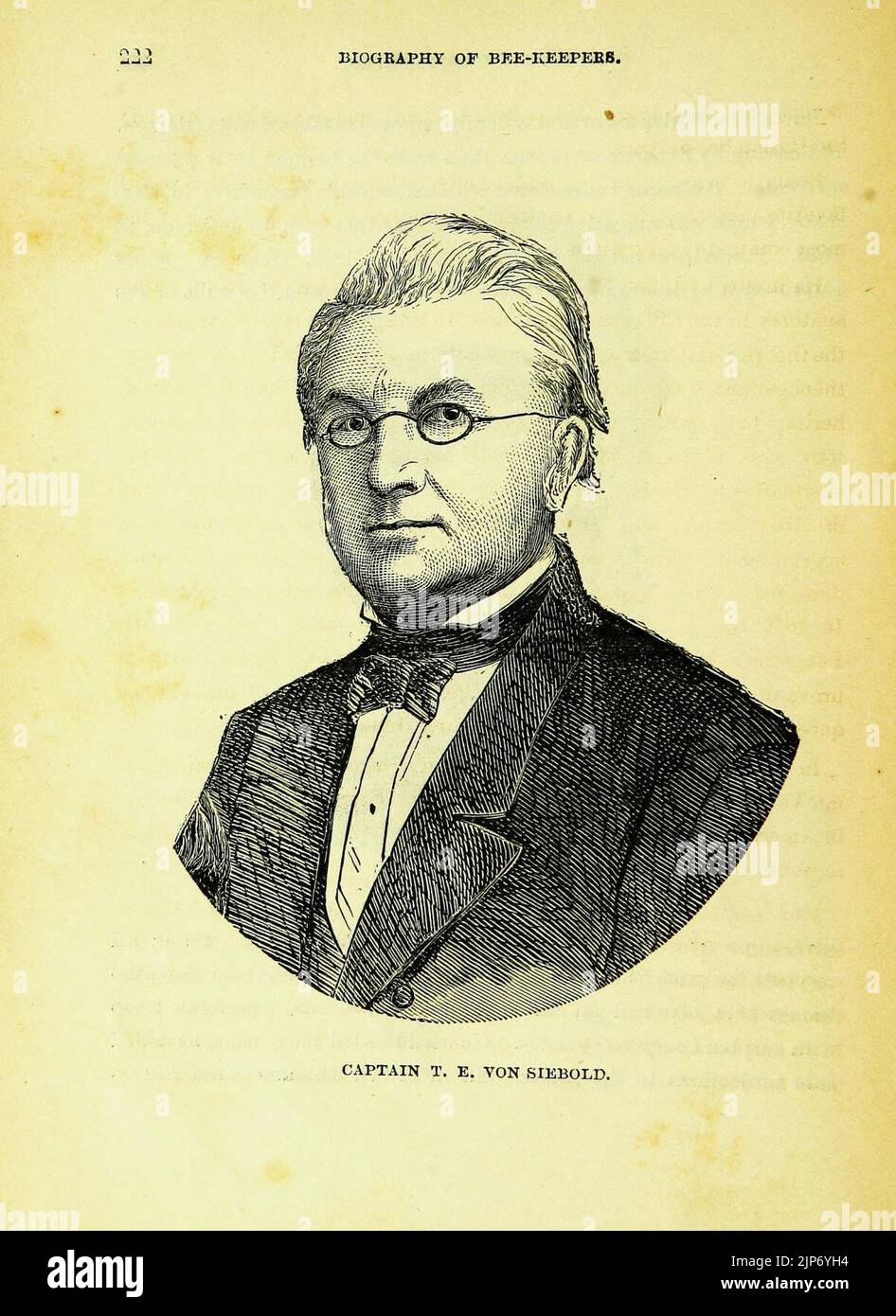 The new bee-keepers' text-book (Page 222 Stock Photo - Alamy