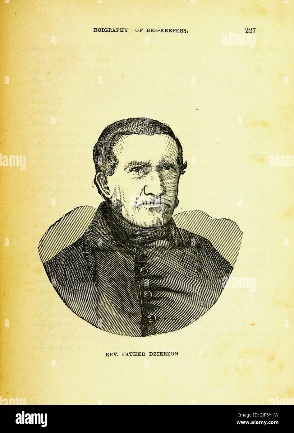 The new bee-keepers' text-book (Page 227 Stock Photo - Alamy