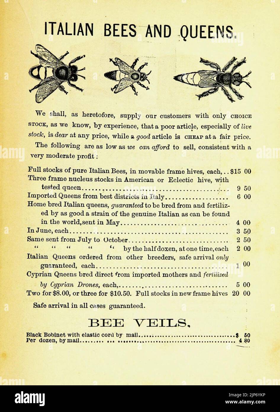 The new bee-keepers' text-book Stock Photo - Alamy