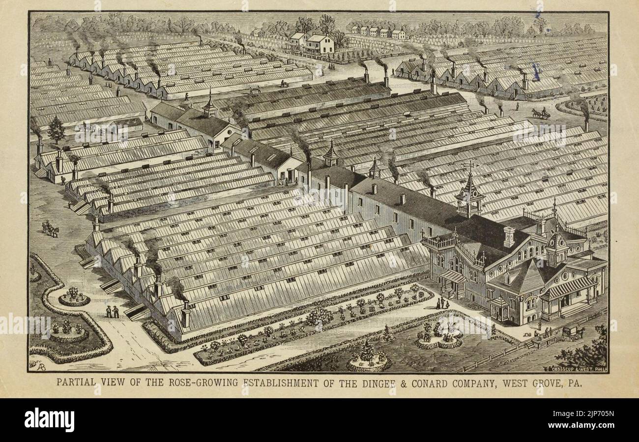 The new guide to rose culture (16802441350 Stock Photo - Alamy