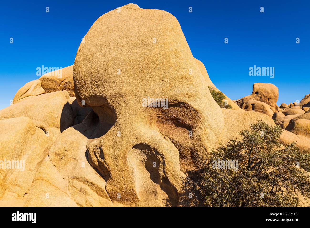 Skull Rock, Joshua Tree National Park, California USA Stock Photo - Alamy