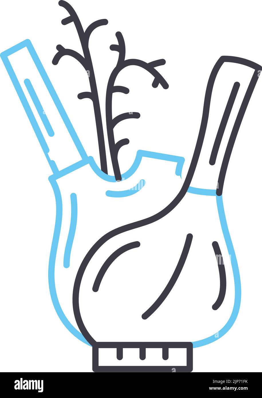 fenhel line icon, outline symbol, vector illustration, concept sign ...