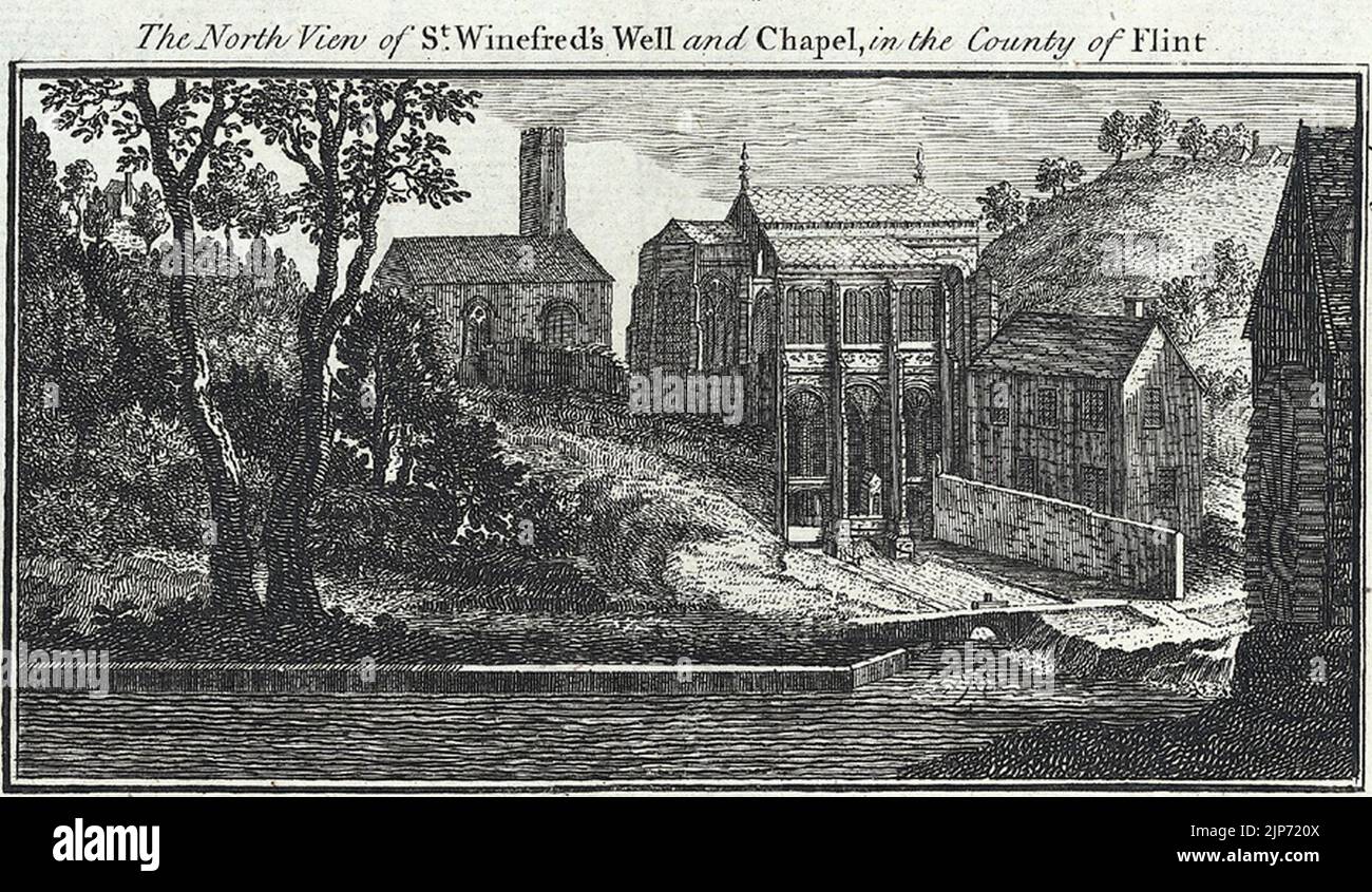 The north view of St. Winefred's Well and chapel, in the county of ...