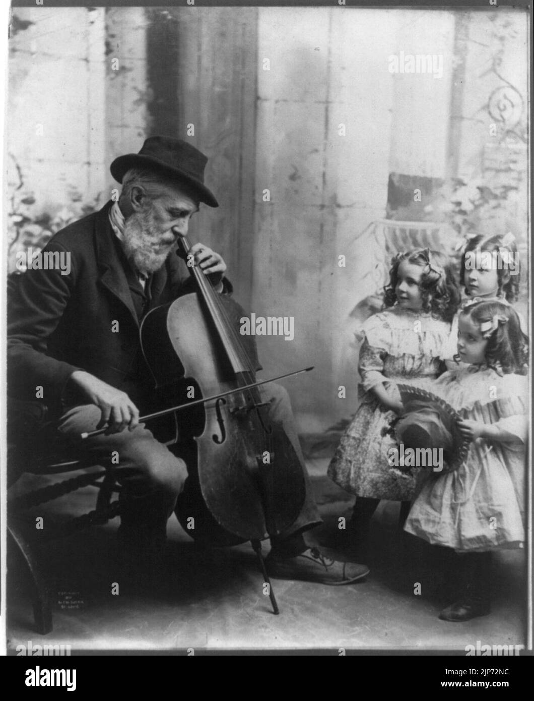 The old musician Stock Photo - Alamy