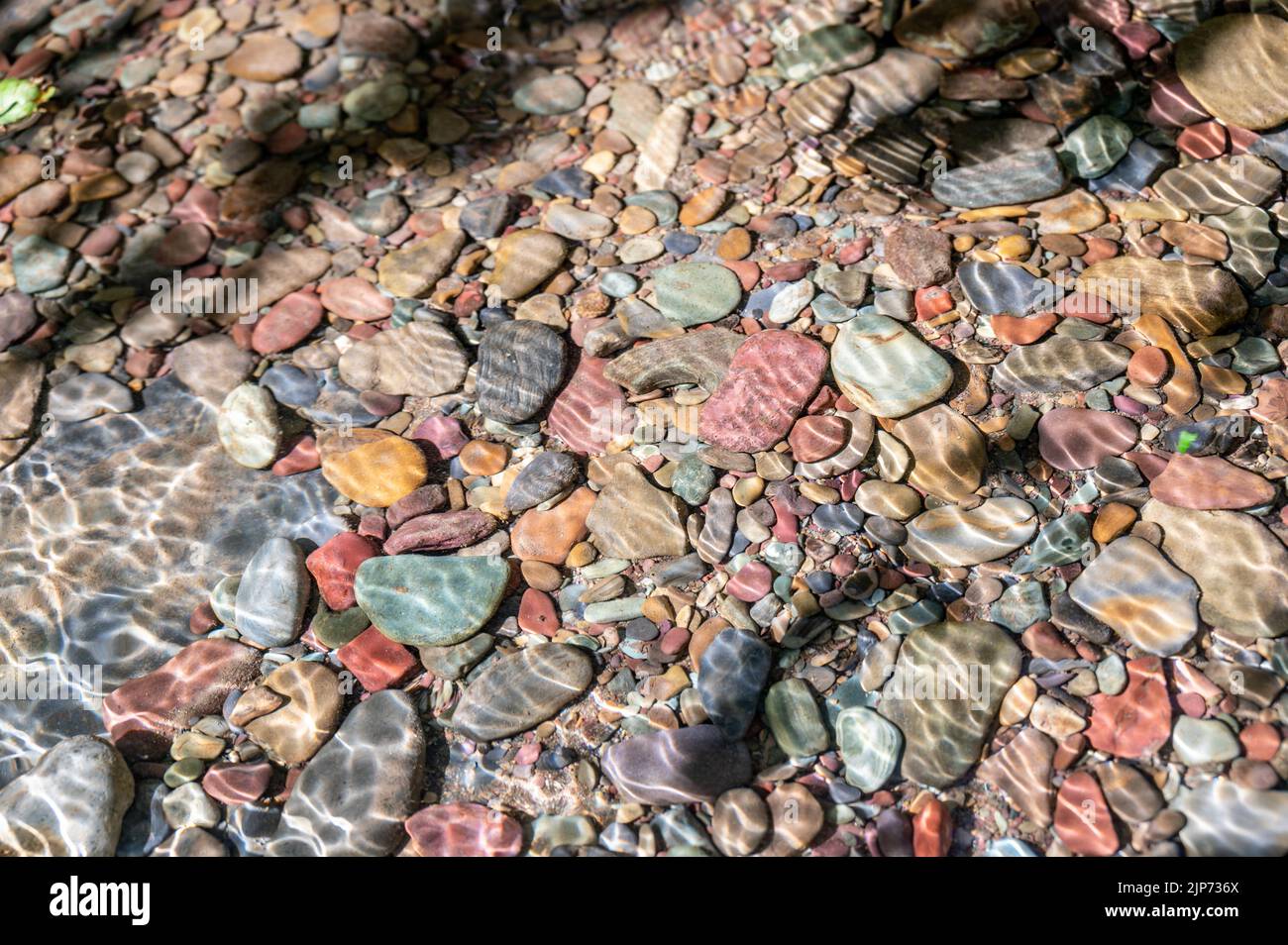 Rainbow multi-colored rocks in Avalanche creek leading towards Lake ...