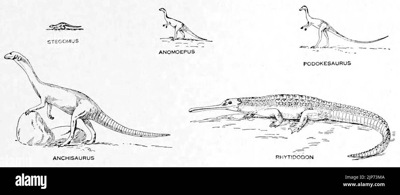 The origin and evolution of life, on the theory of action, reaction and ...