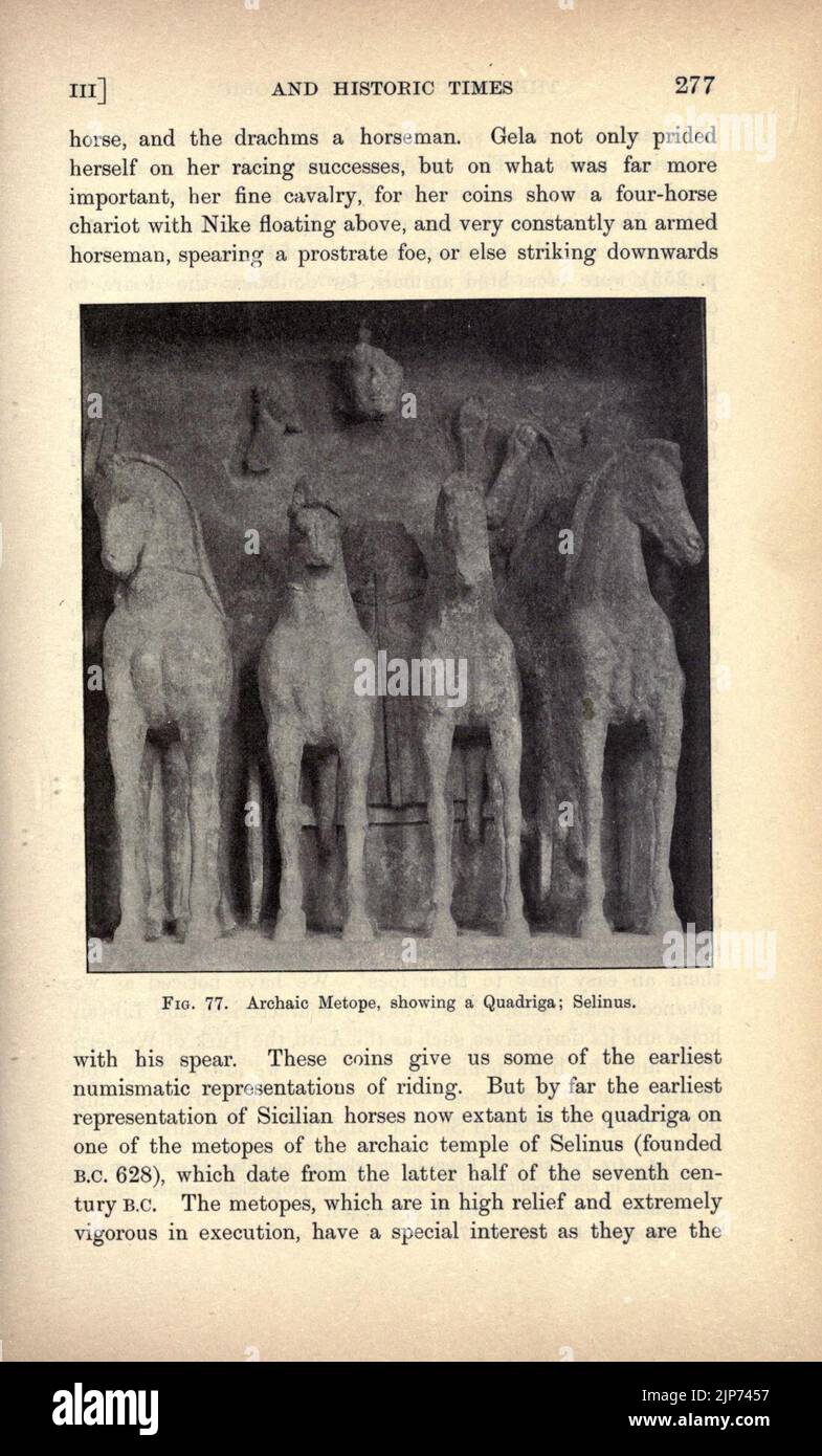 The origin and influence of the thoroughbred horse (Page 277 Stock ...