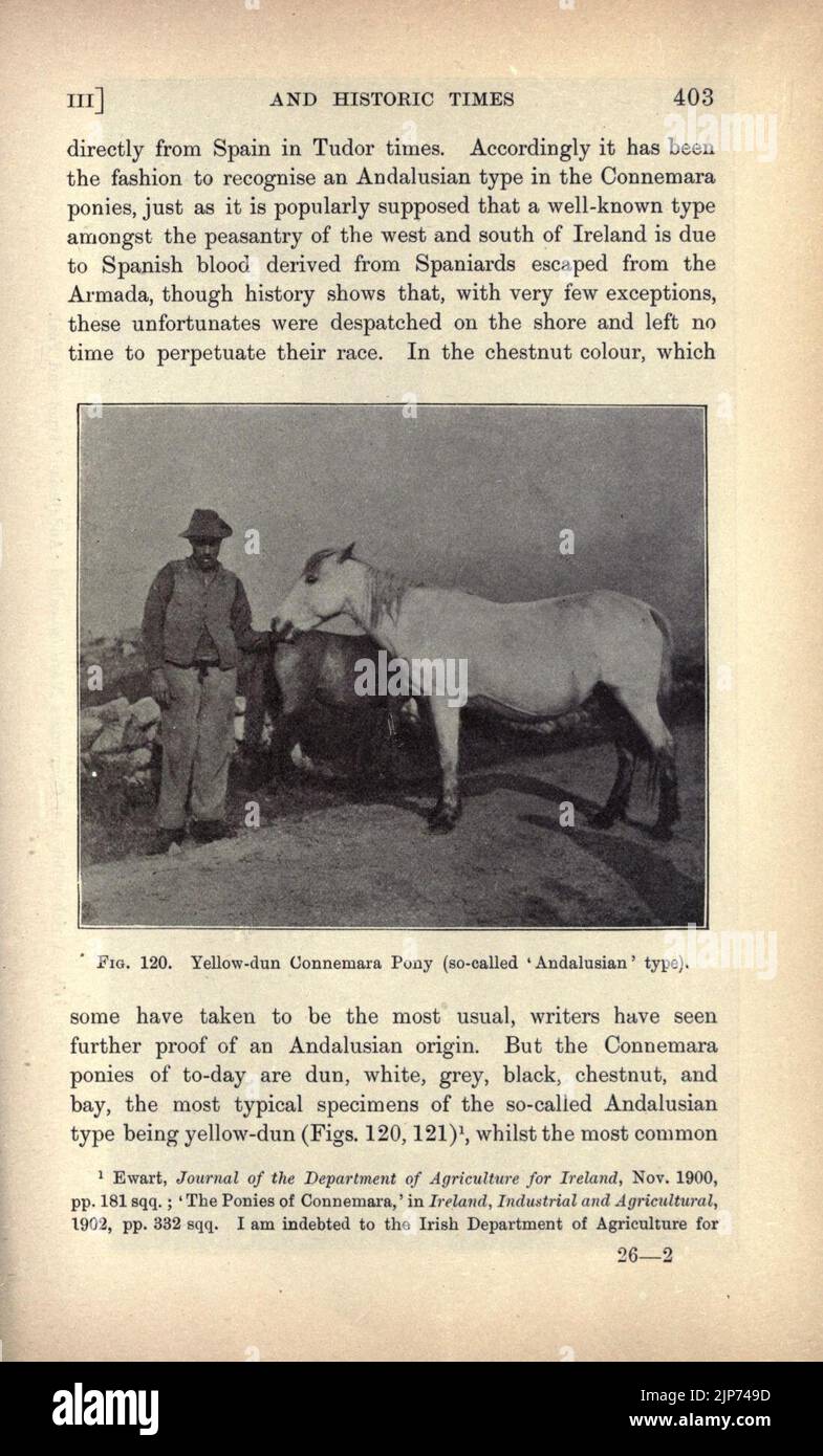 The origin and influence of the thoroughbred horse (Page 403 Stock ...