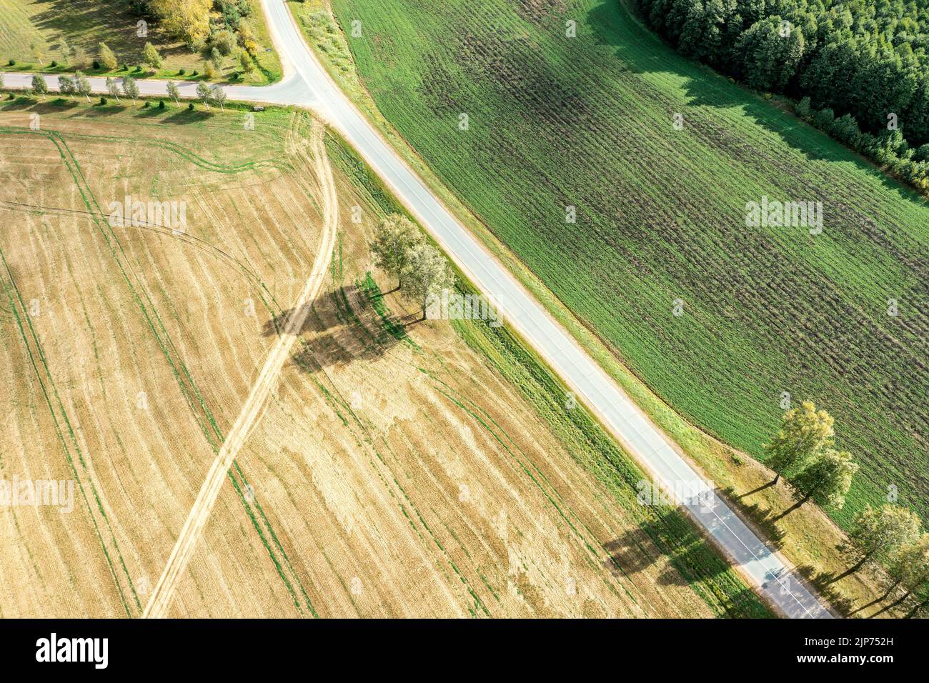 countryside view from above with country road among wheat field and ...
