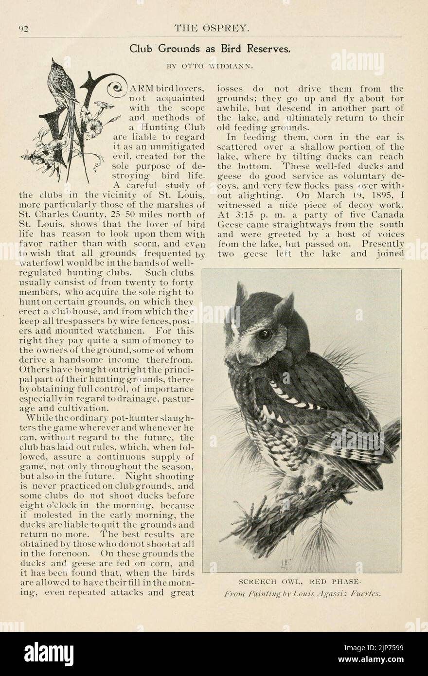 The Osprey (Page 92 Stock Photo - Alamy