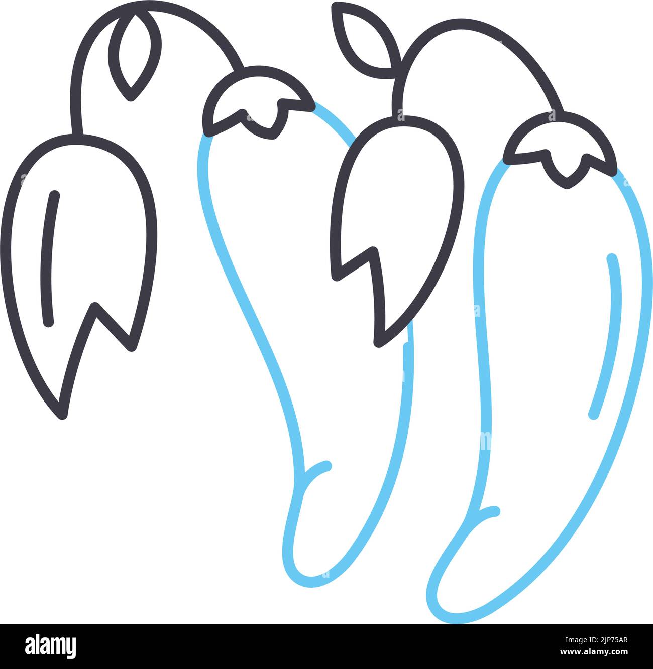 chili line icon, outline symbol, vector illustration, concept sign ...