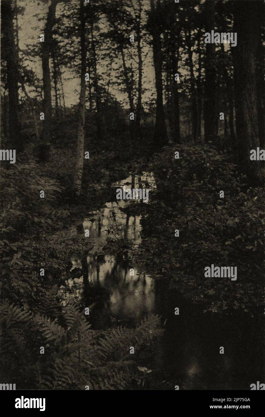 The Outlet of the Spring (Shipman Stock Photo - Alamy