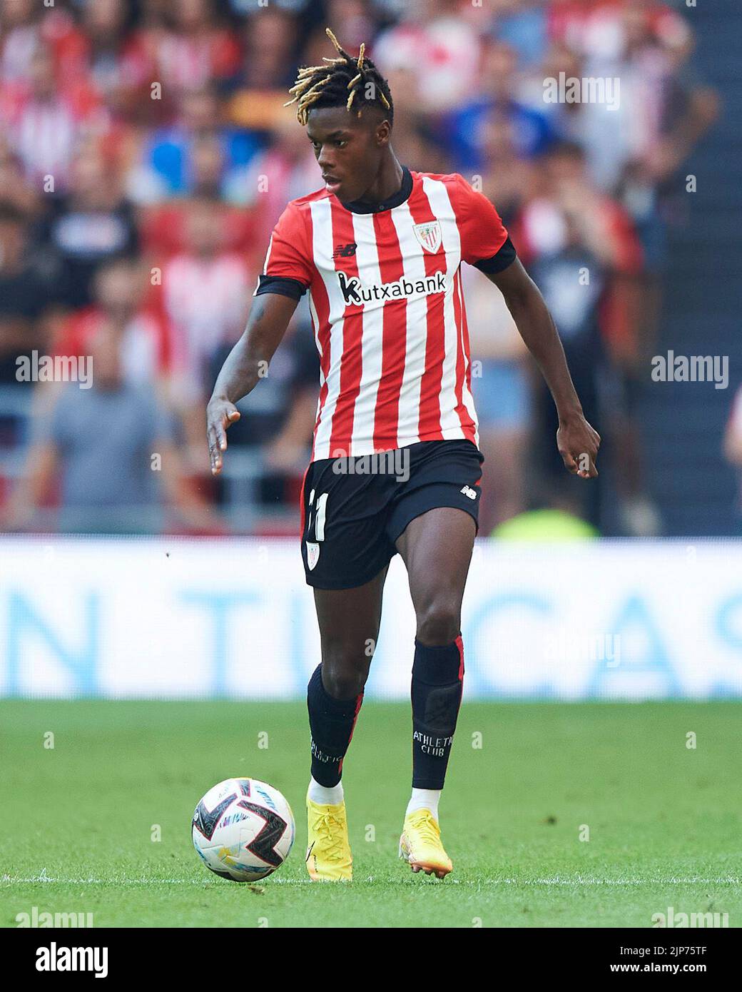 Nicholas williams hi-res stock photography and images - Alamy