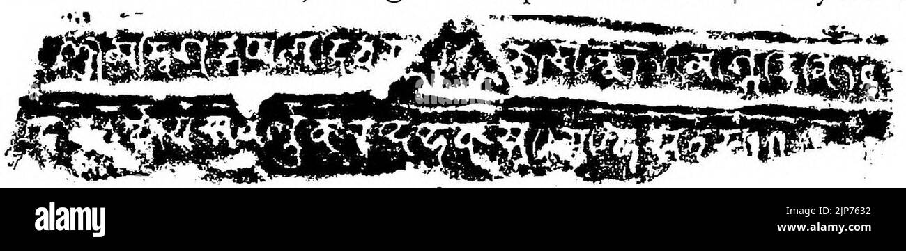 Palas bengal Cut Out Stock Images & Pictures - Alamy