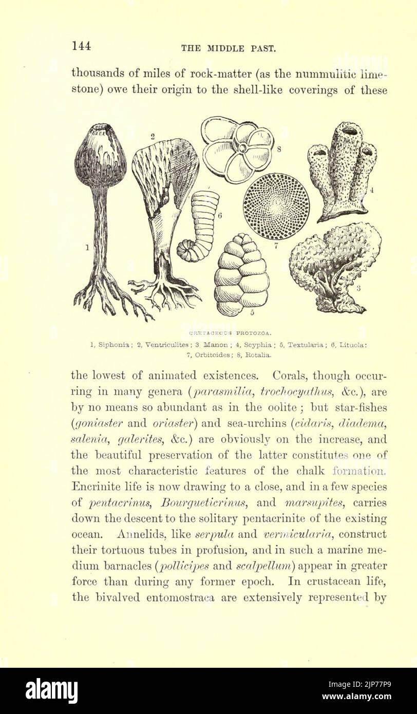 The past and present life of the globe (Page 144 Stock Photo - Alamy