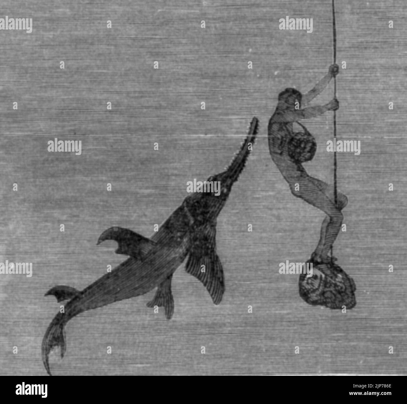 Pearl fisher Black and White Stock Photos & Images - Alamy