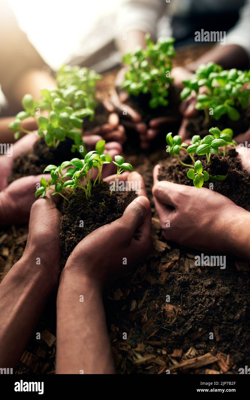 Diverse group of plants hi-res stock photography and images - Alamy
