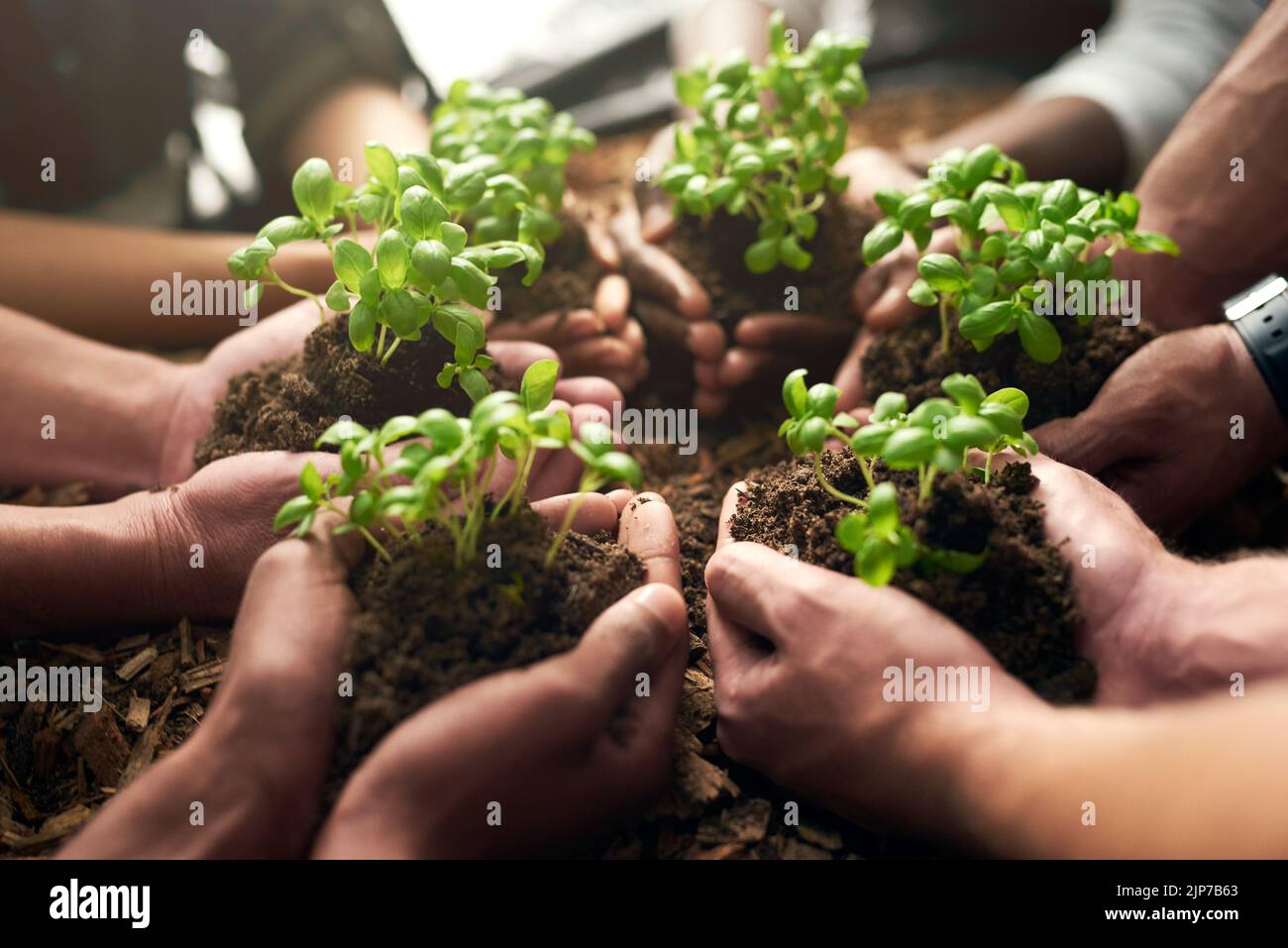 Teamwork, the foundation of business growth. a group of people holding ...