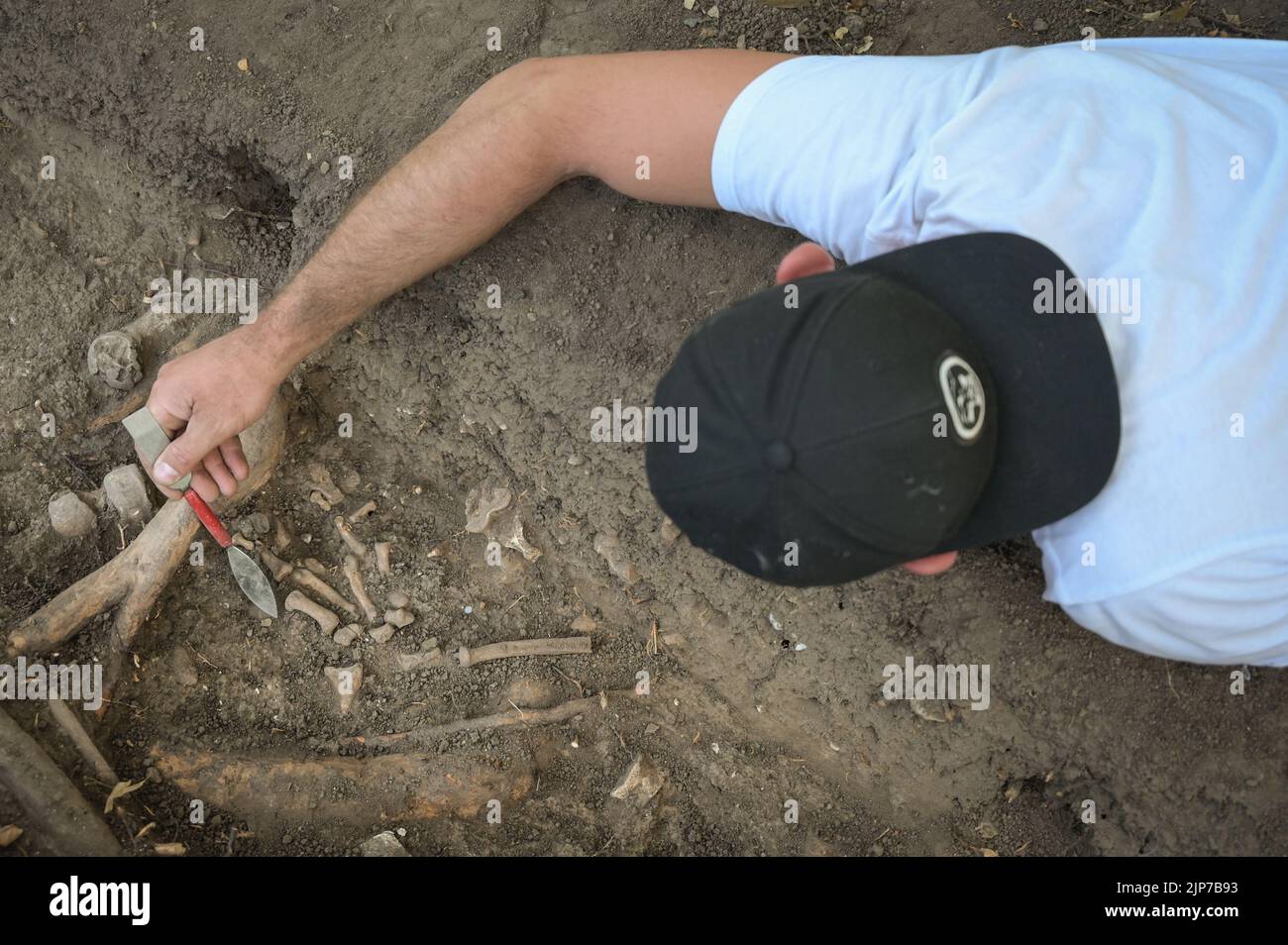 Quedlinburg, Germany. 15th Aug, 2022. Archaeology student Michel Becker ...