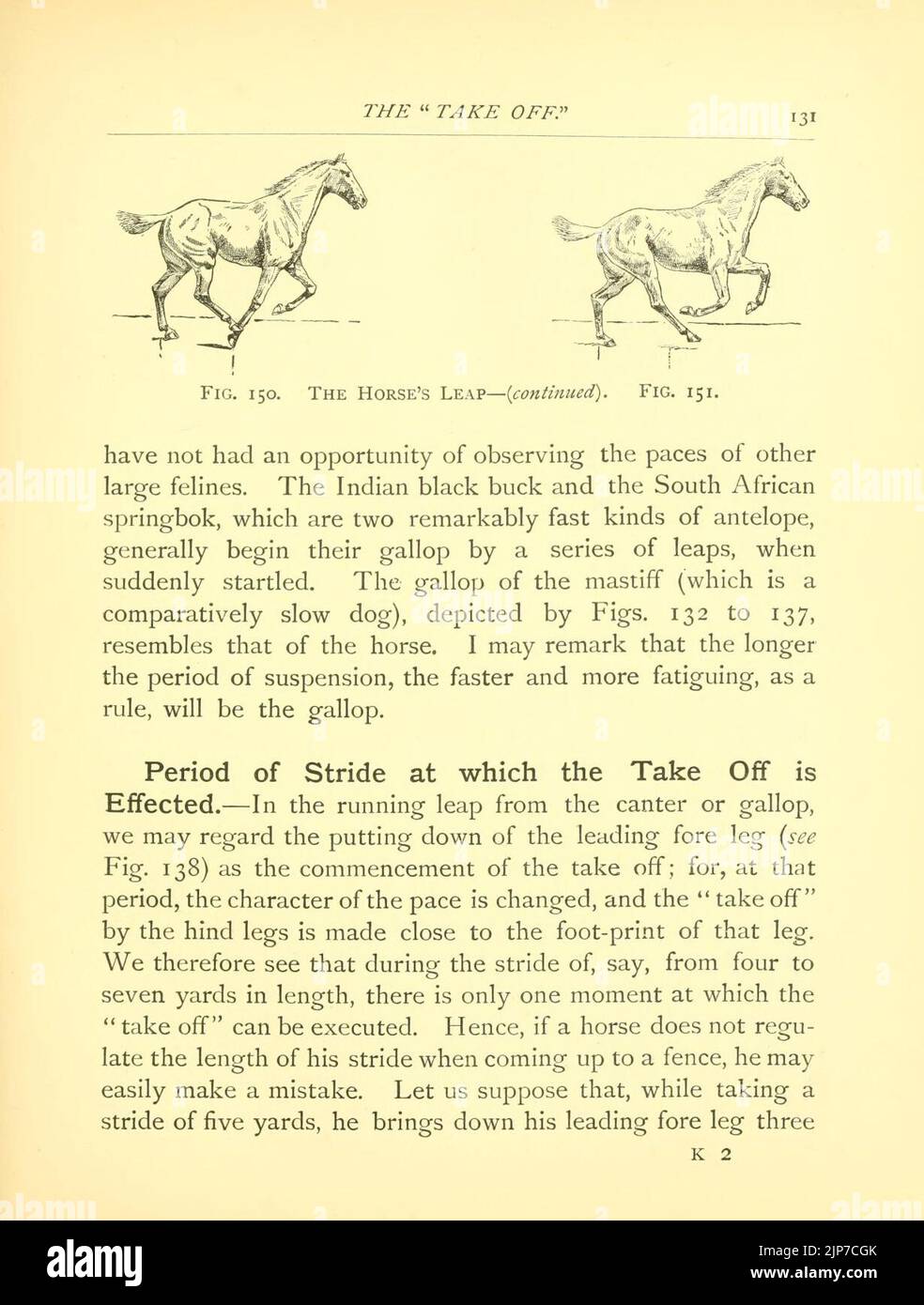 The points of the horse (Page 131 Stock Photo - Alamy