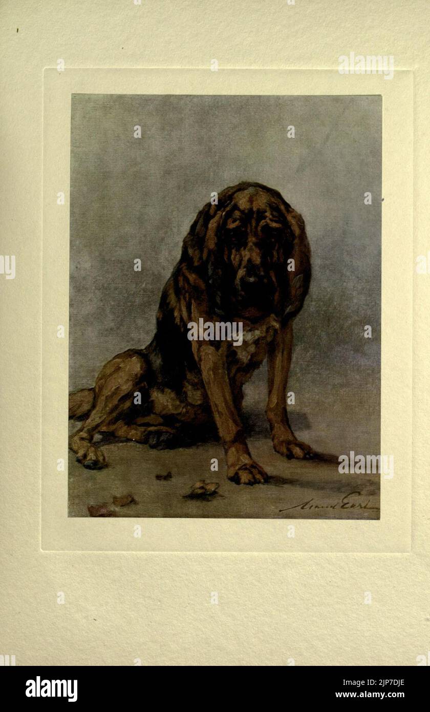 The power of the dog (Plate II Stock Photo - Alamy