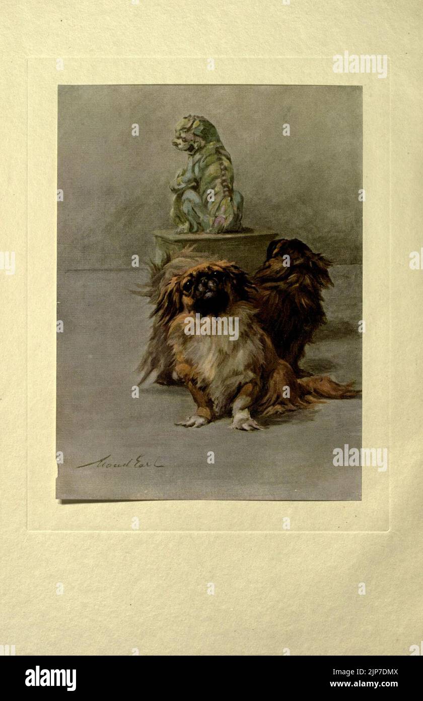 The power of the dog (Plate XIV Stock Photo - Alamy