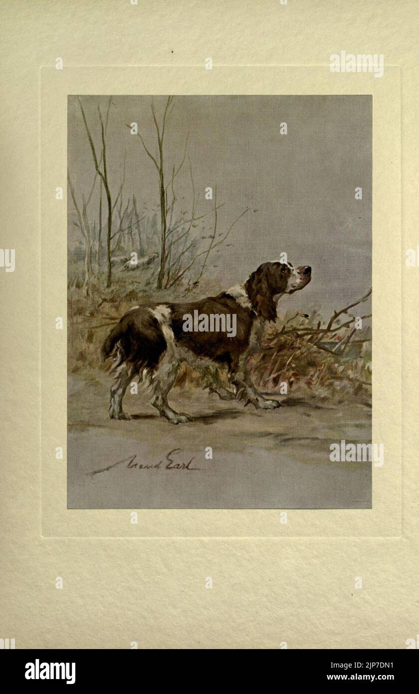 The power of the dog (Plate XVI Stock Photo - Alamy