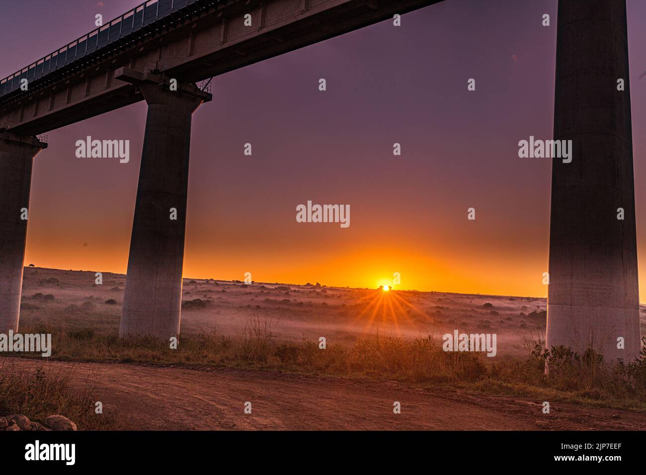 Sunset Sunrise Sundowner Nairobi City County National Park Birds ...