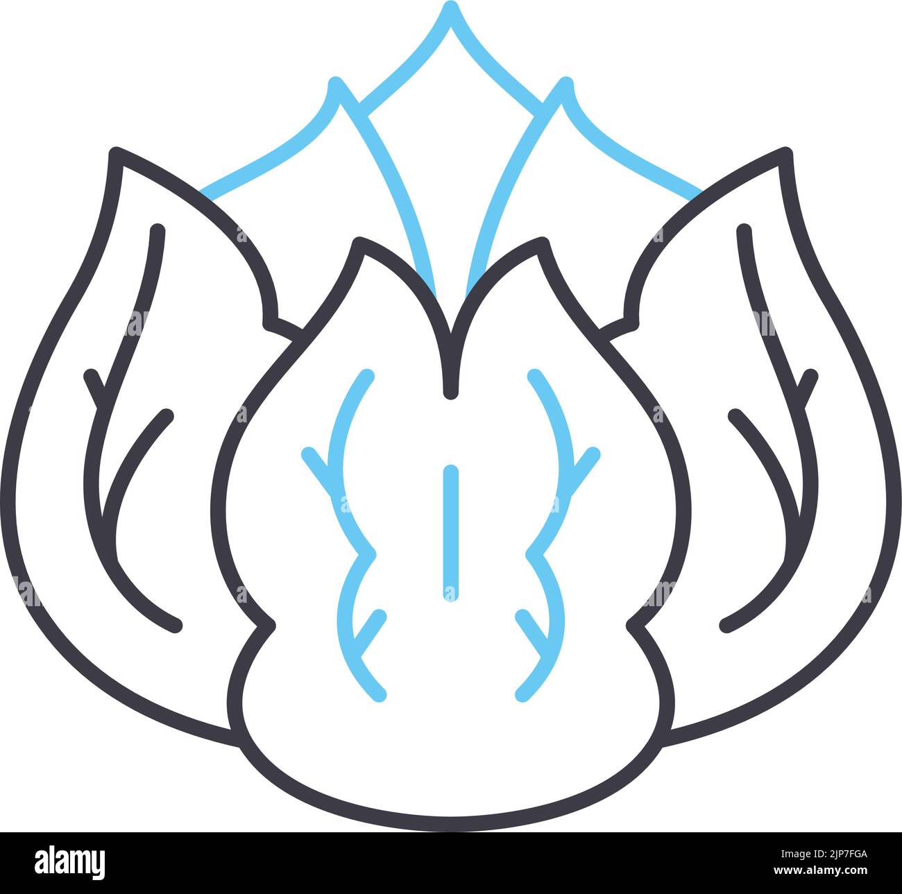 cabbage line icon, outline symbol, vector illustration, concept sign ...