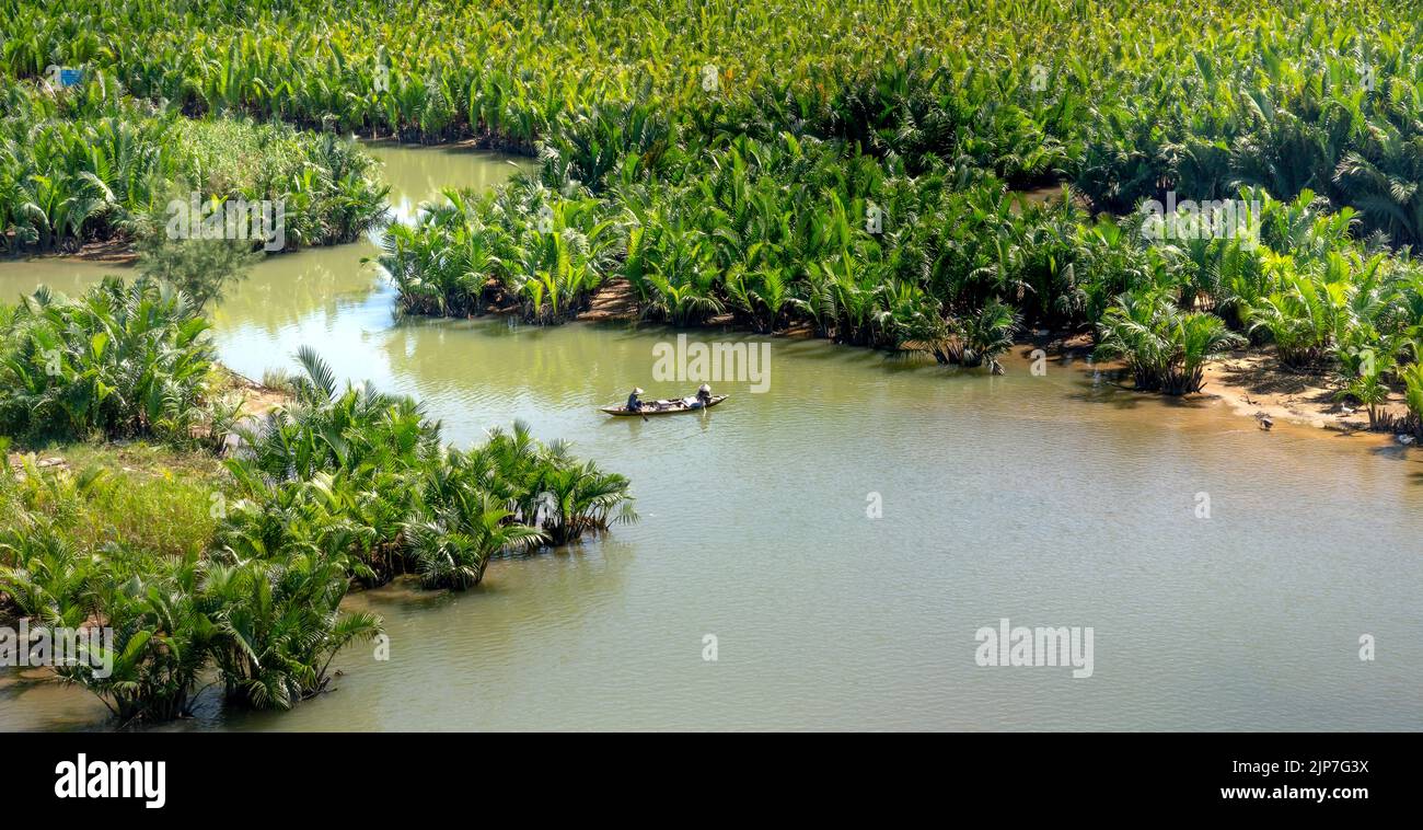 The forest of nipa or nipa or mangrove palm (Nucca), a tropical ...