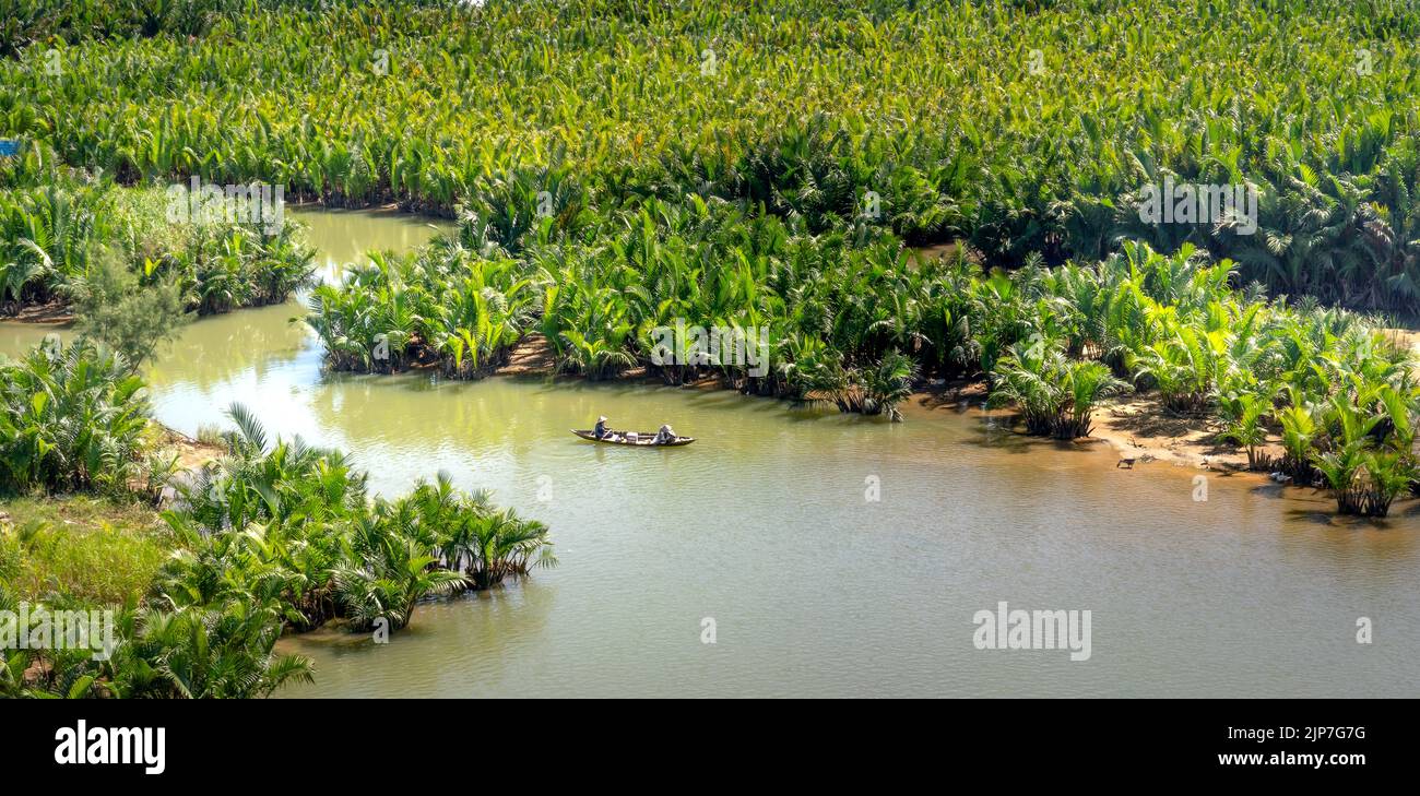 The forest of nipa or nipa or mangrove palm (Nucca), a tropical ...