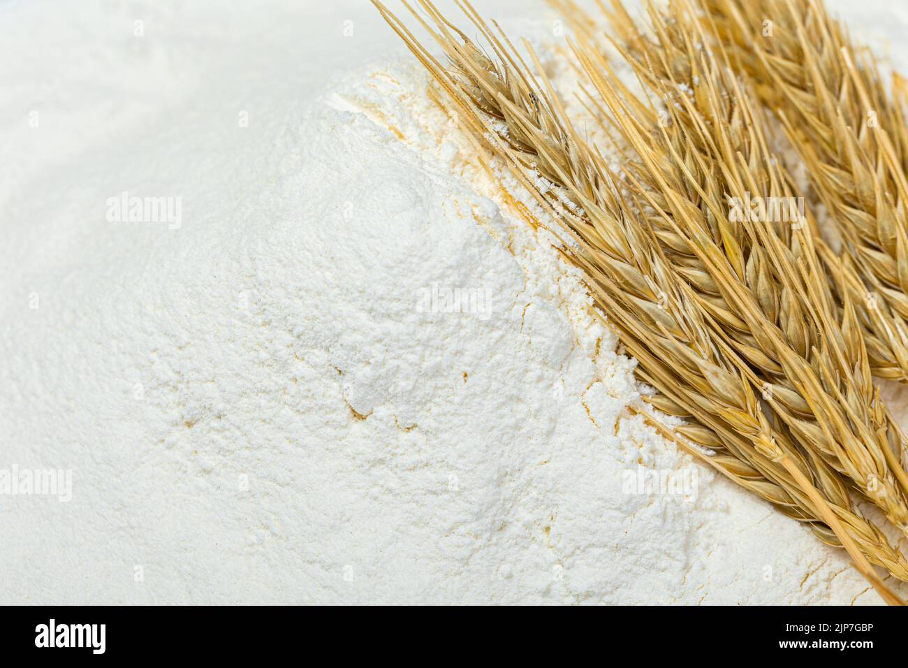Close-up of a heap of flour and ears of wheat after sifting. Concept ...