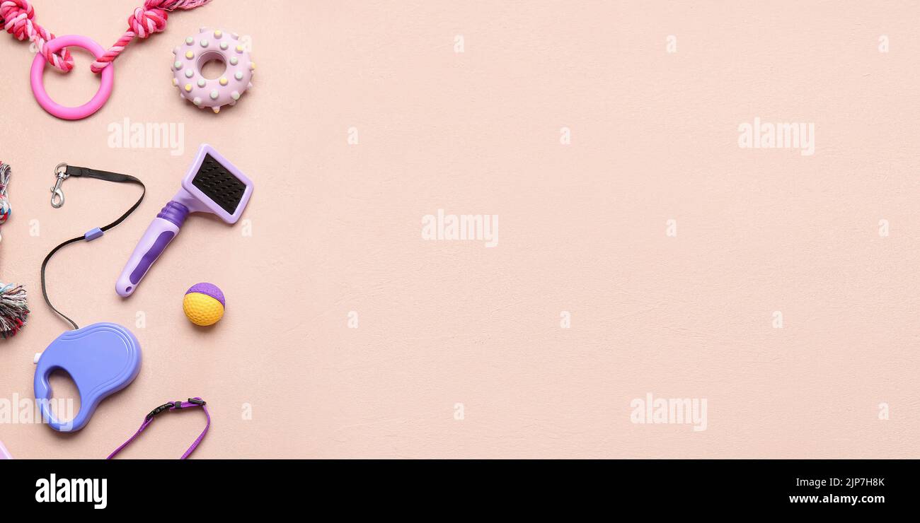 Different pet accessories on beige background with space for text, top ...