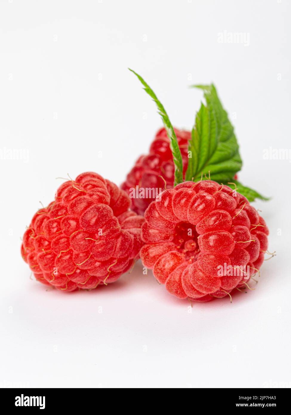 Isolated berries. Bunch of raspberry fruits with leaves isolated on ...