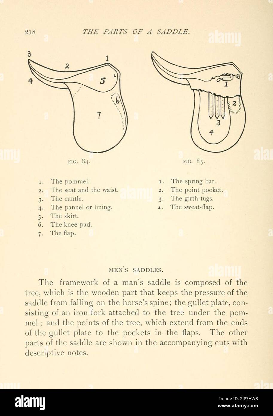 The private stable (Page 218 Stock Photo - Alamy