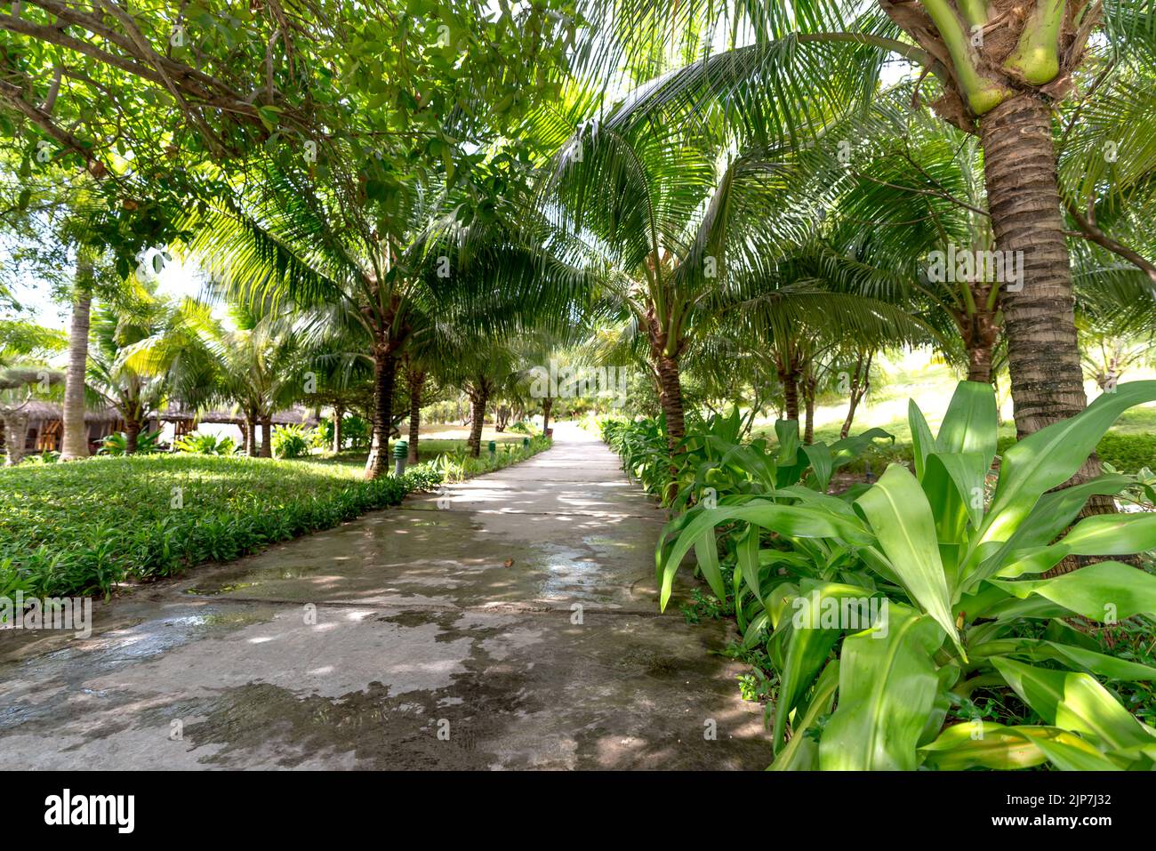 Take a look inside the grounds of 4-star Pax Ana Resort in Doc Let ...