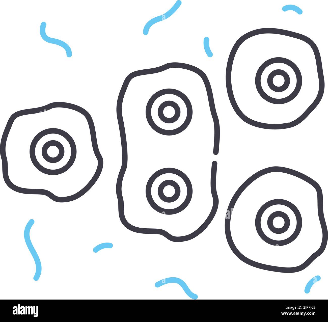 cell division line icon, outline symbol, vector illustration, concept ...