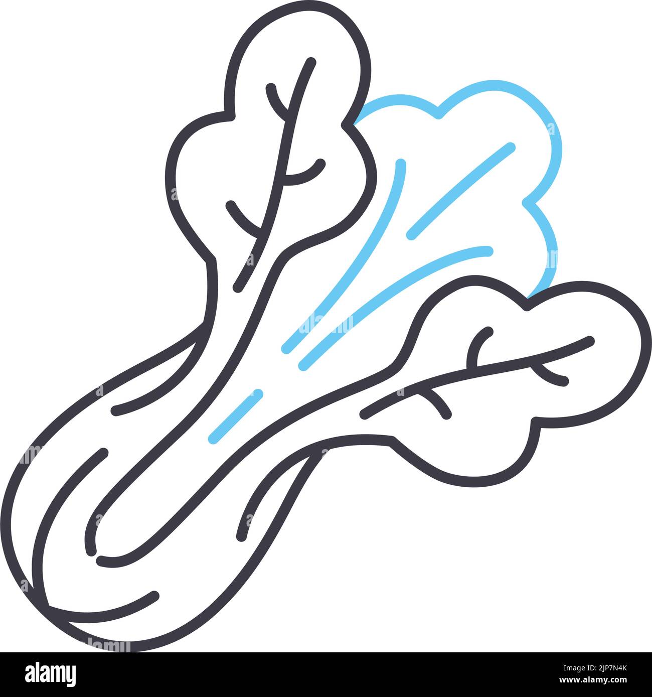 Pechay Clipart Black And White