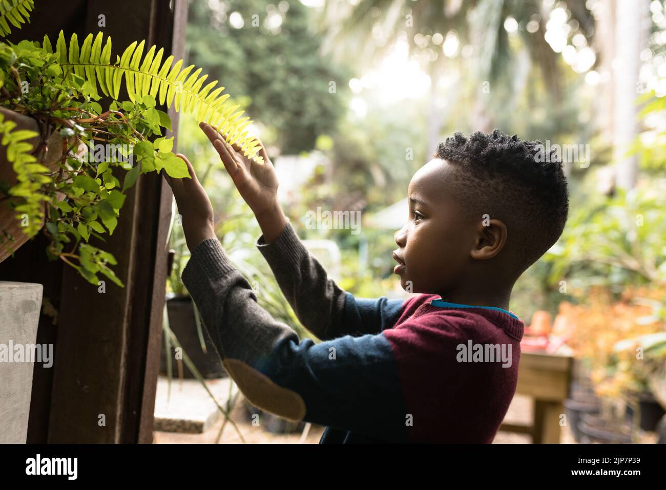 Boy touching tree hi-res stock photography and images - Alamy